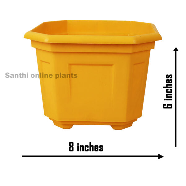 8″ Octa Pot Any Colors (Pieces 5) – Santhi Online Plants