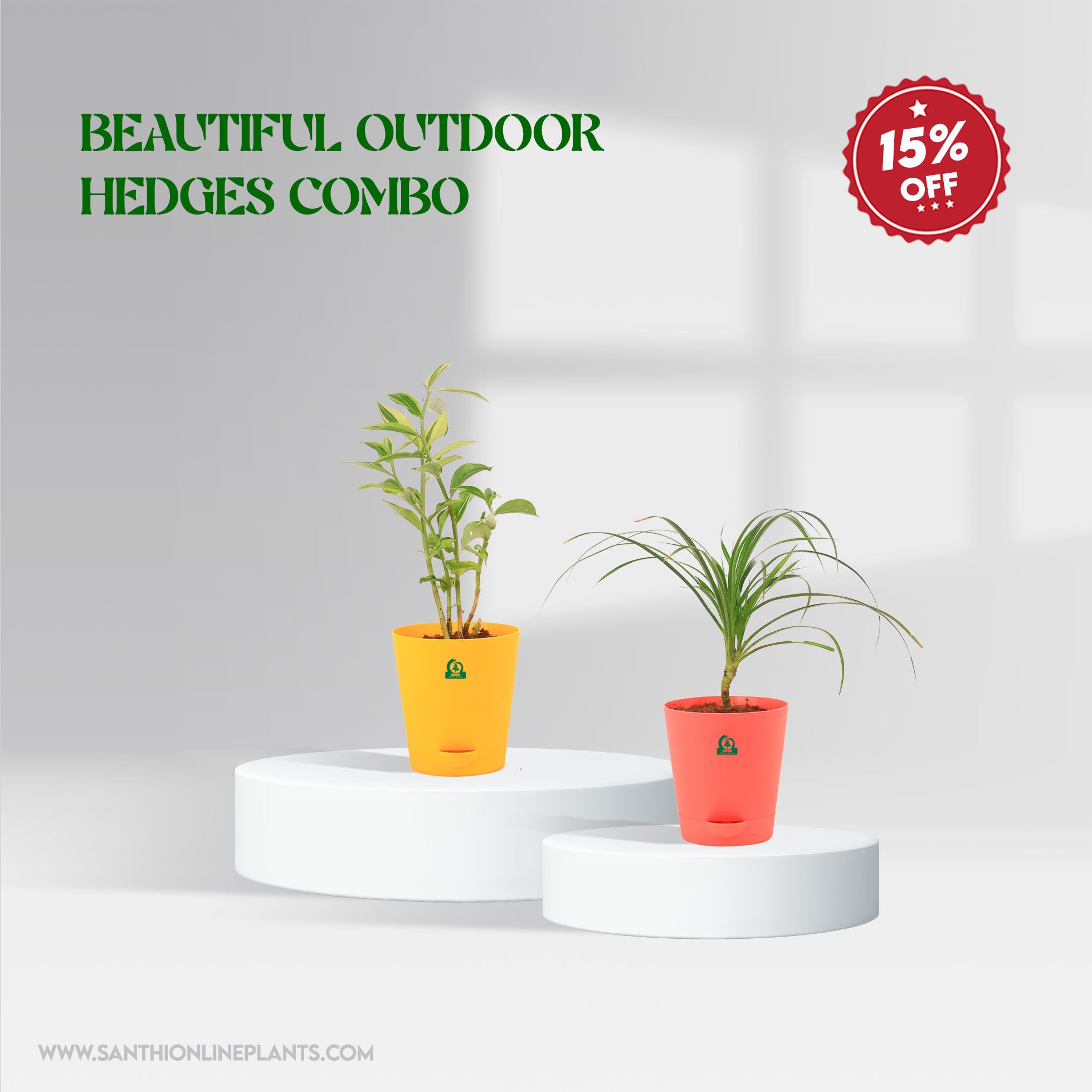 Beautiful Outdoor Hedges Combo – Santhi Online Plants