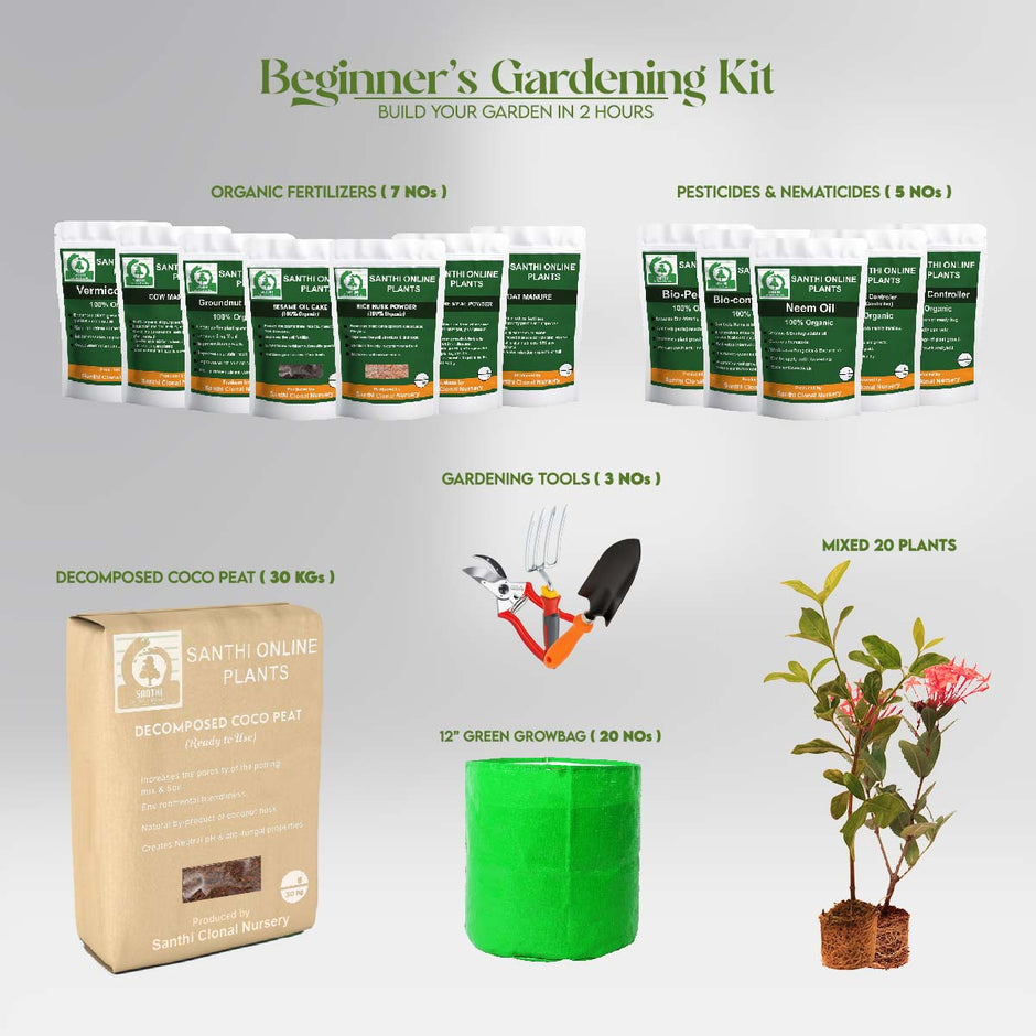 Gardening Combo Kit For Beginner's – Santhi Online Plants