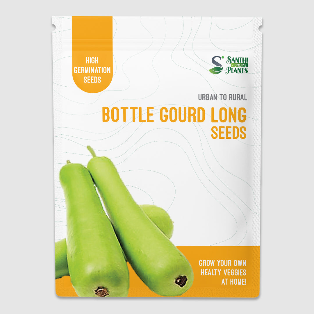 Bottle Gourd Long Seeds – Santhi Online Plants