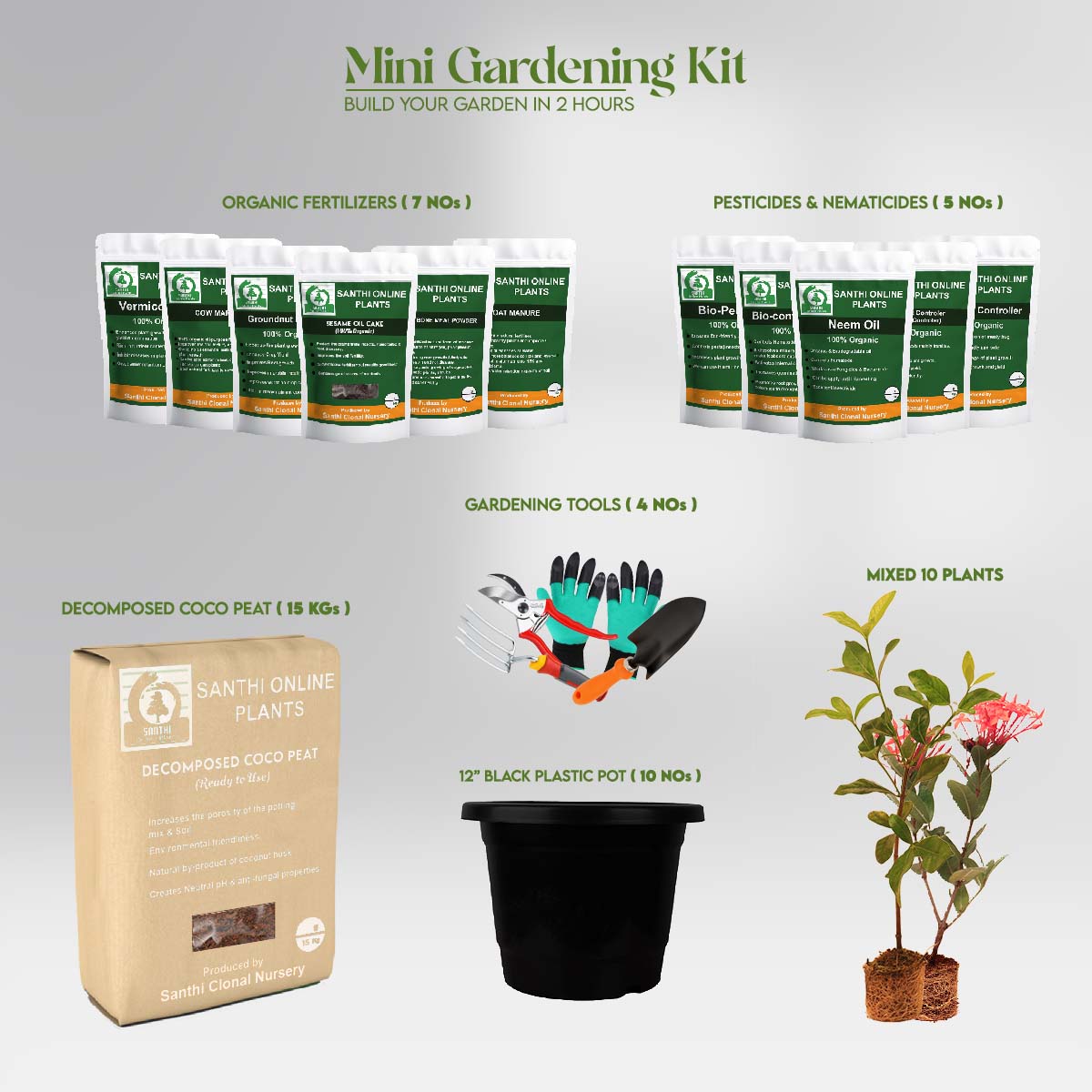 Mini Gardening Kit2 : “Plant It Yourself (PIY) Kit” – Santhi Online Plants