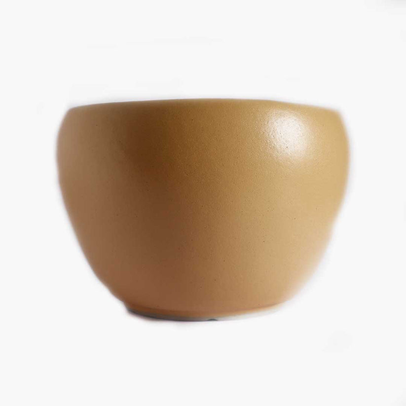 Miami Yellow Ceramic Pot(Medium) – Santhi Online Plants