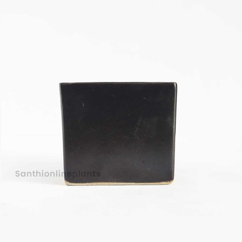Plain Black Square (Small) – Santhi Online Plants