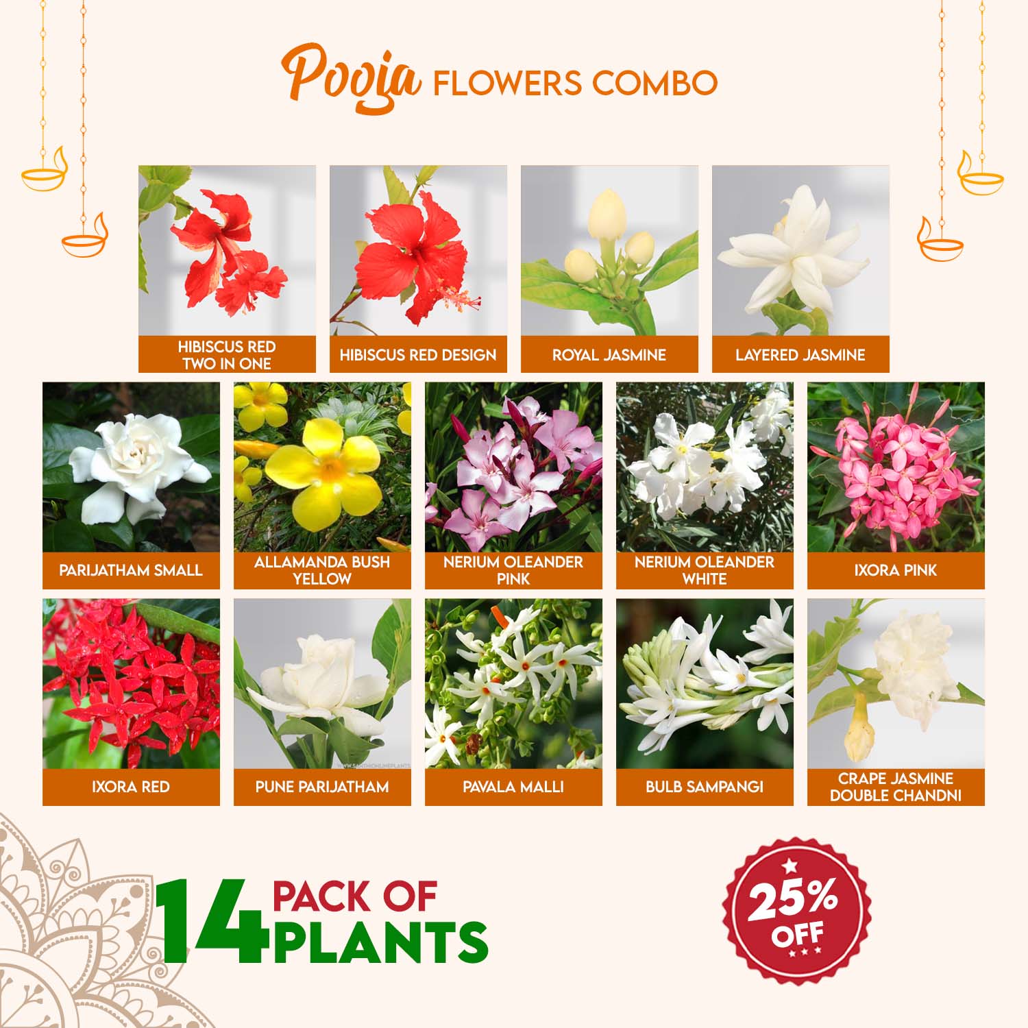 Pooja Flowers Combo – Santhi Online Plants