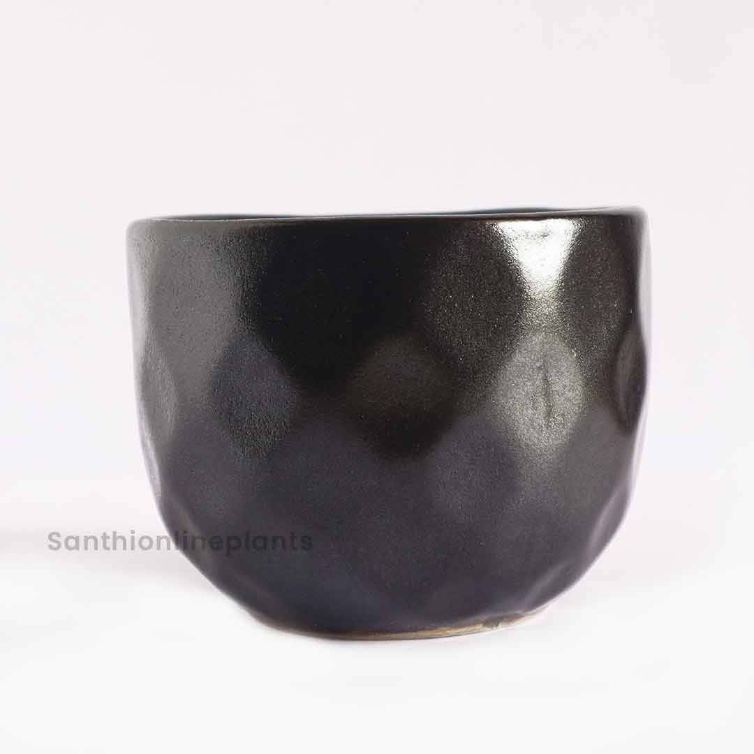 Diamond Black Ceramic Pot (Small) – Santhi Online Plants